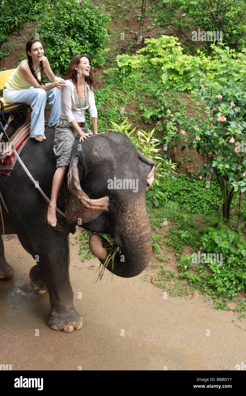 Young women riding an elephant in Phuket, Thailand Stock Photo - Alamy