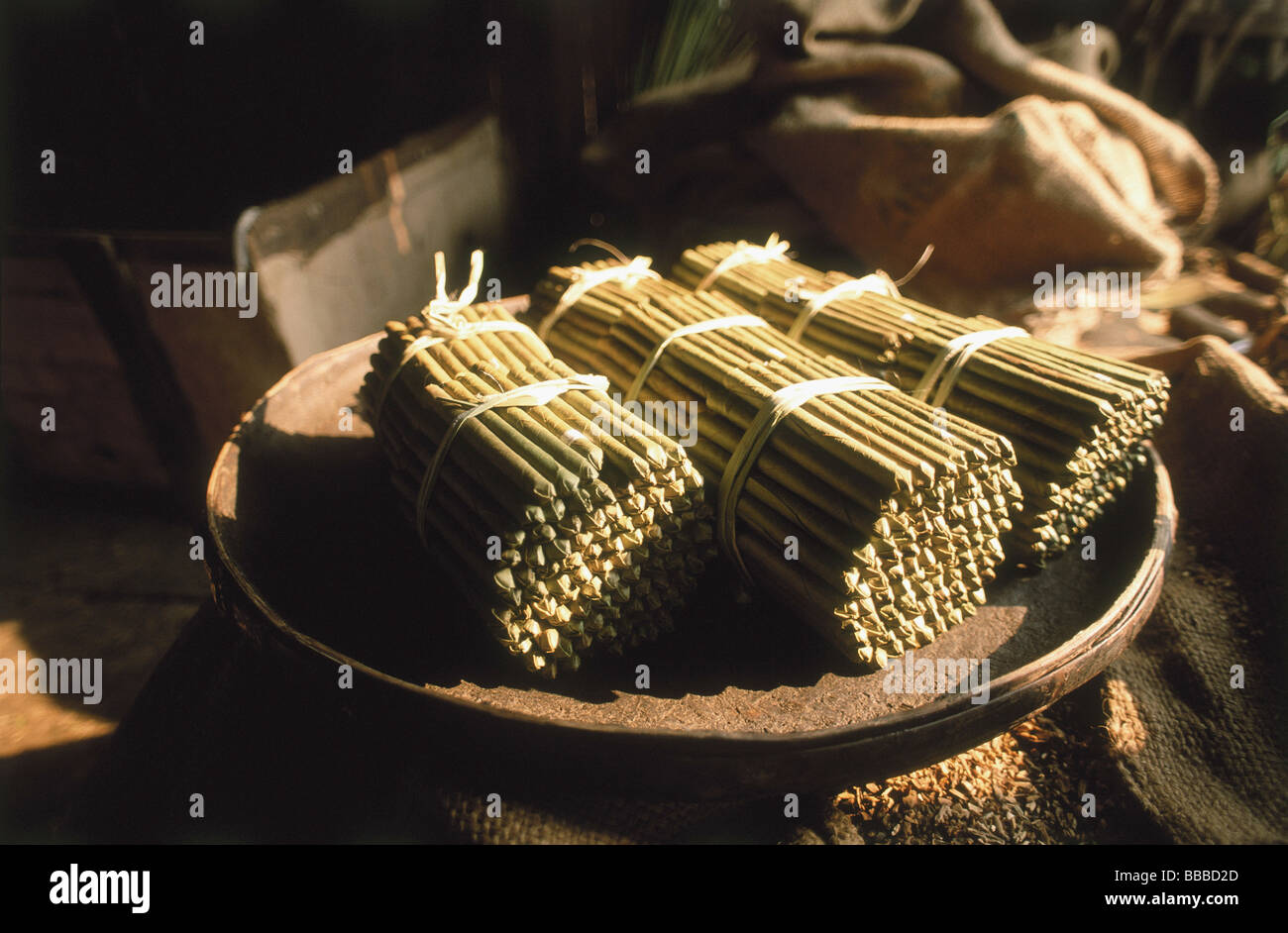 Myanmar, cigar making Stock Photo - Alamy