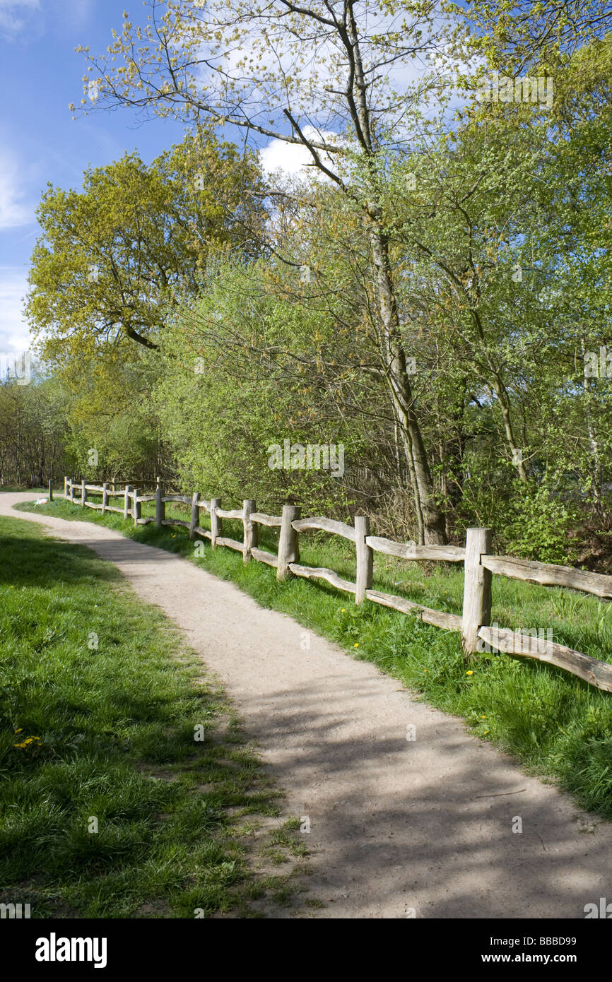 Timber wood garden path hi-res stock photography and images - Alamy