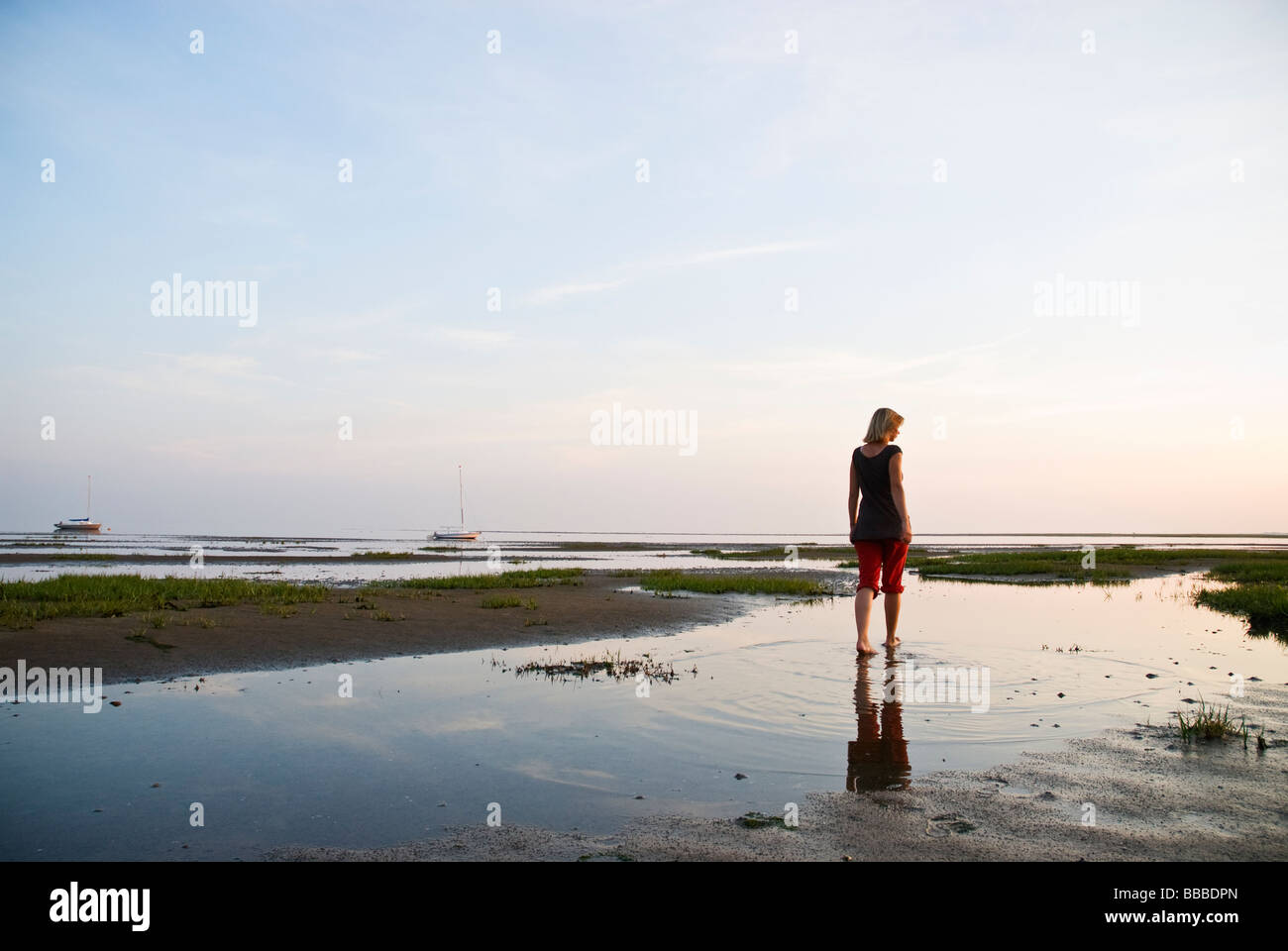 Woman walks along tidal mudflats of Wadden sea at low tide, Island of ...