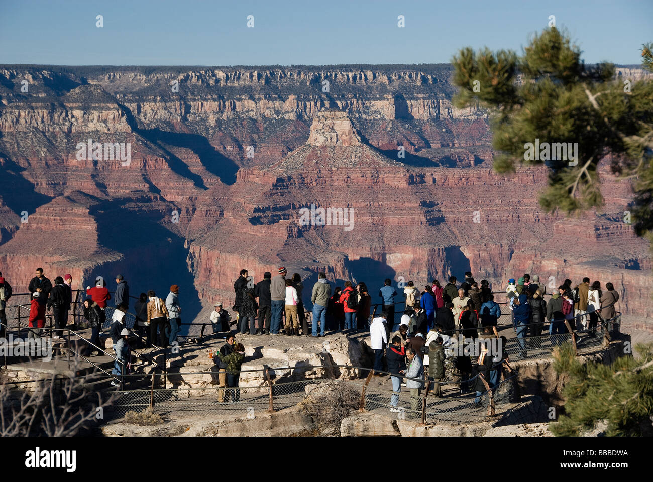 Visitors at Mather Point Grand Canyon National Park Arizona USA Stock ...