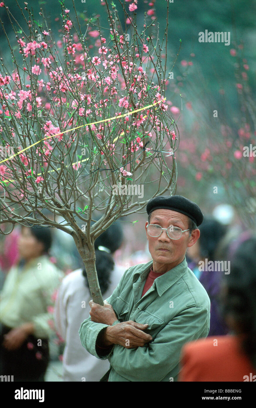 Vietnam, Hanoi, man selling plum blossom sprigs Stock Photo - Alamy