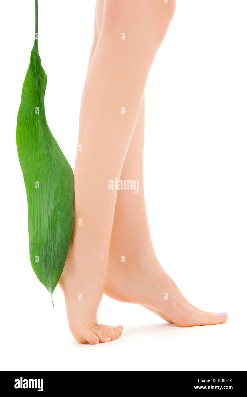 picture of female legs with green leaf over white Stock Photo - Alamy