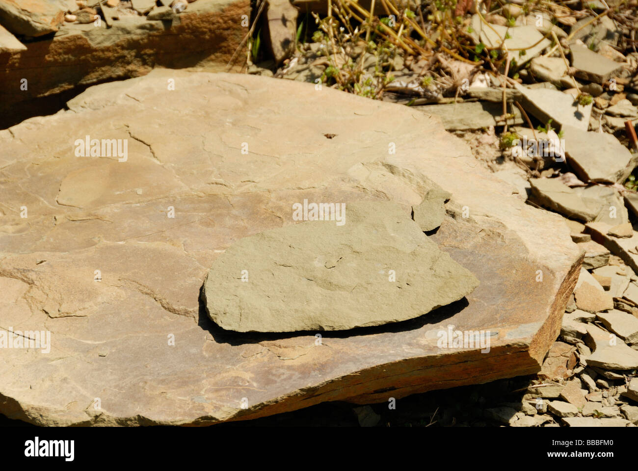 Flat rocks hi-res stock photography and images - Alamy