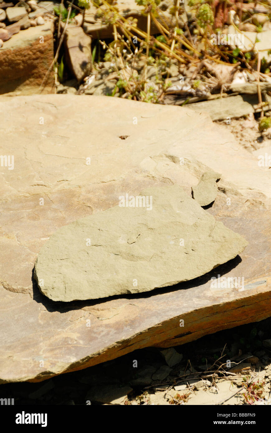 Flat rocks hi-res stock photography and images - Alamy