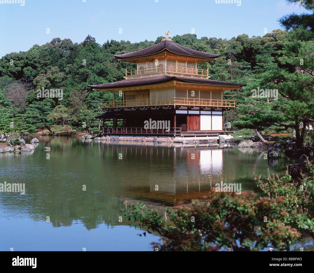 Japan, Kyoto, The Golden Pavilion at Kinkaku-ji Temple Stock Photo - Alamy