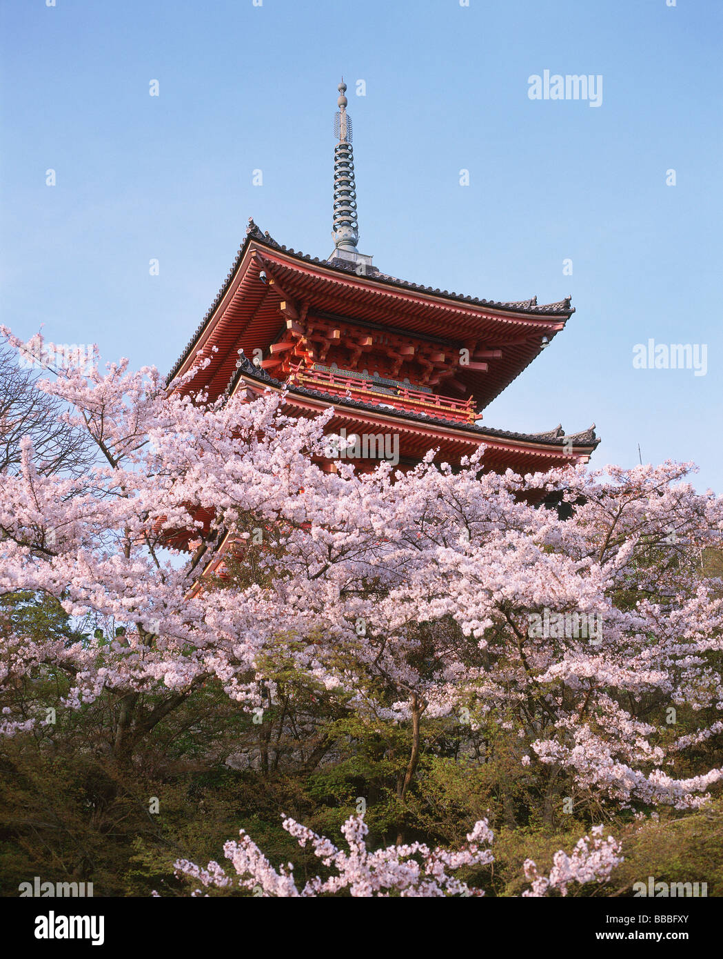 Japan, Kyoto, Kiyomizudera Temple Stock Photo - Alamy