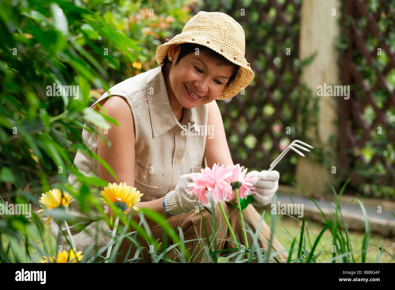 Woman doing gardening Stock Photo - Alamy
