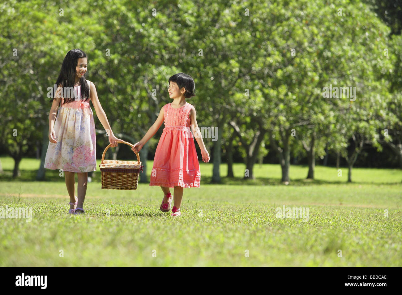 Girls walking in park, carrying picnic basket Stock Photo - Alamy