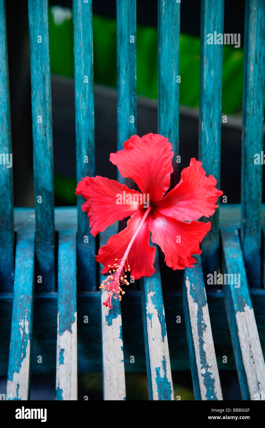 Serene calm still life hi-res stock photography and images - Alamy