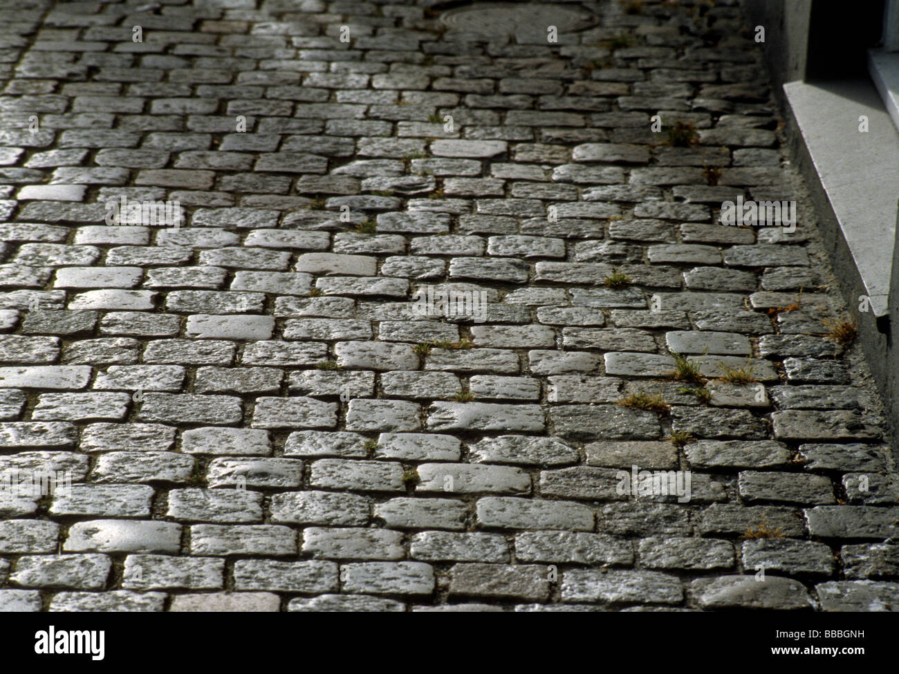 Cobblestone street walk stone texture pave surface light shadow pattern ...