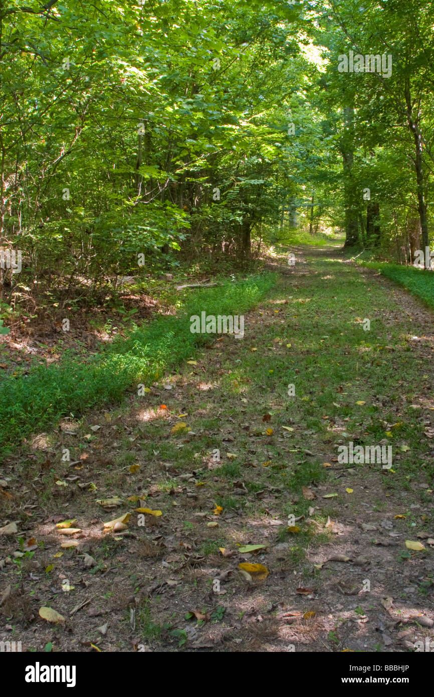 Natchez Trace Parkway, Remnant of the Old Trace Trail near today's ...