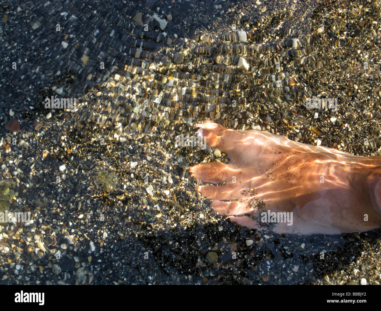 person foot standing in water on lake coast beach Stock Photo - Alamy