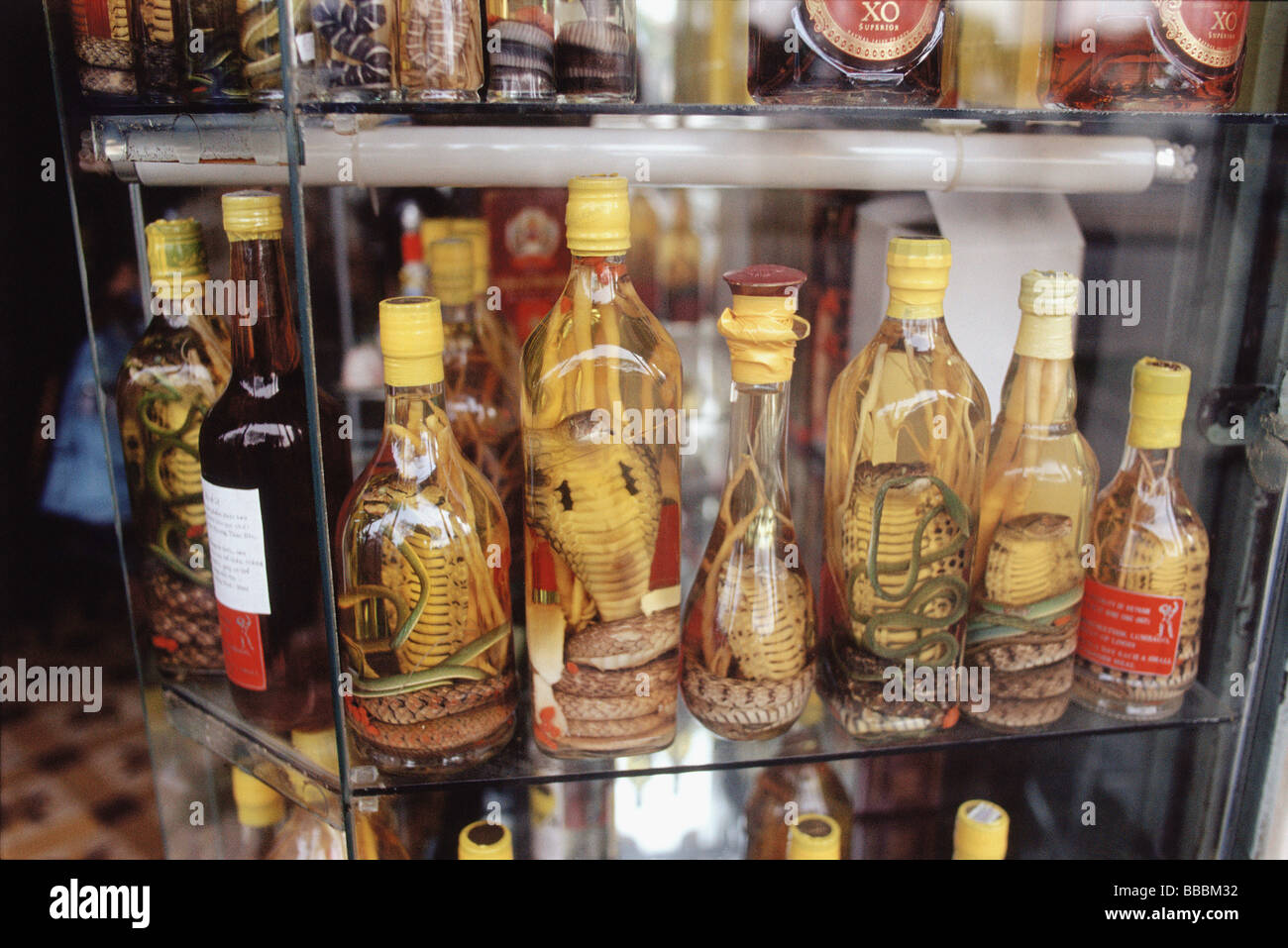 Vietnam, Ho Chi Minh City, Ben Thanh Market, preserved snakes in jars ...