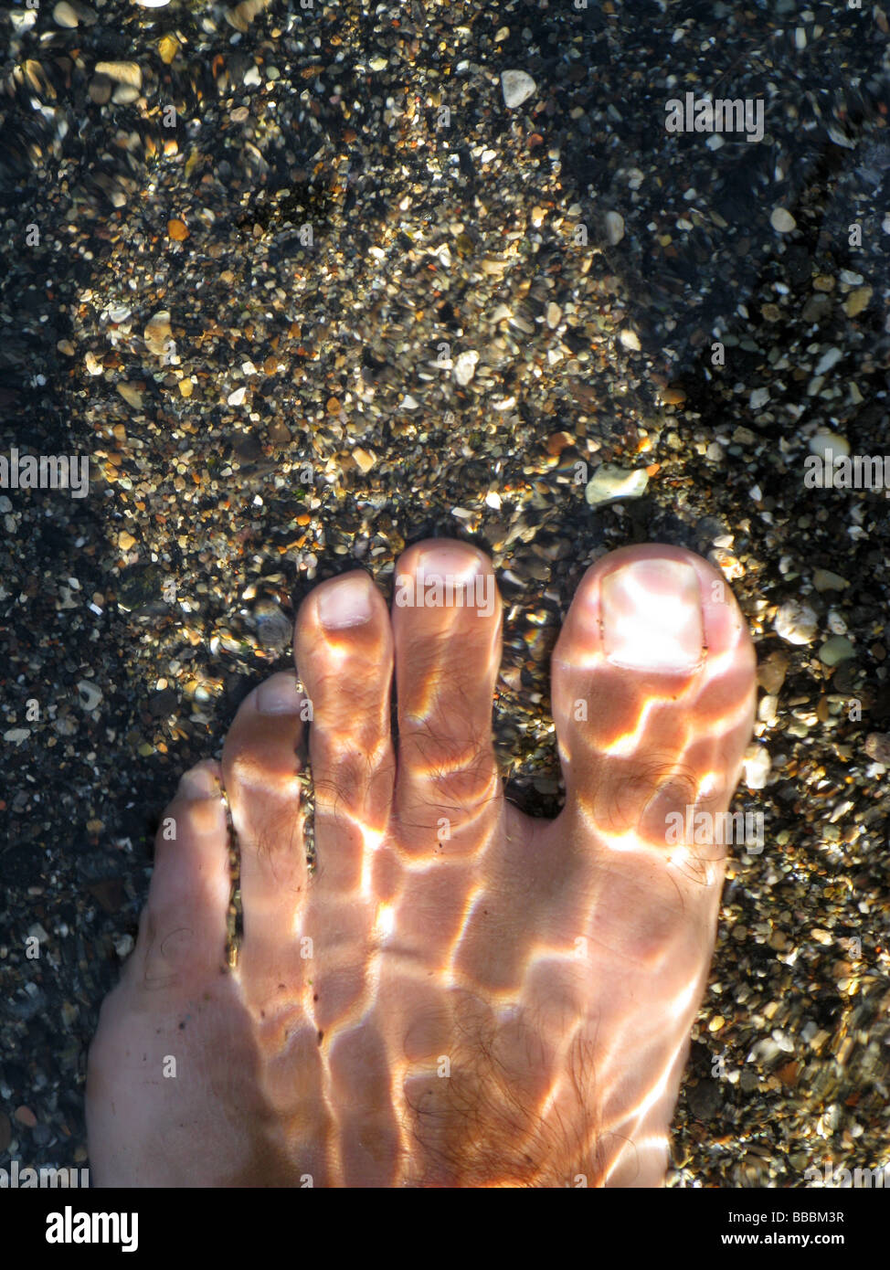 person foot standing in water on lake coast beach Stock Photo - Alamy