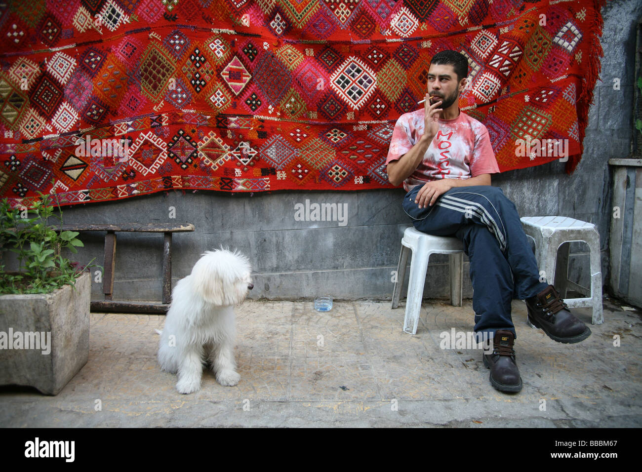 Hanania hi-res stock photography and images - Alamy