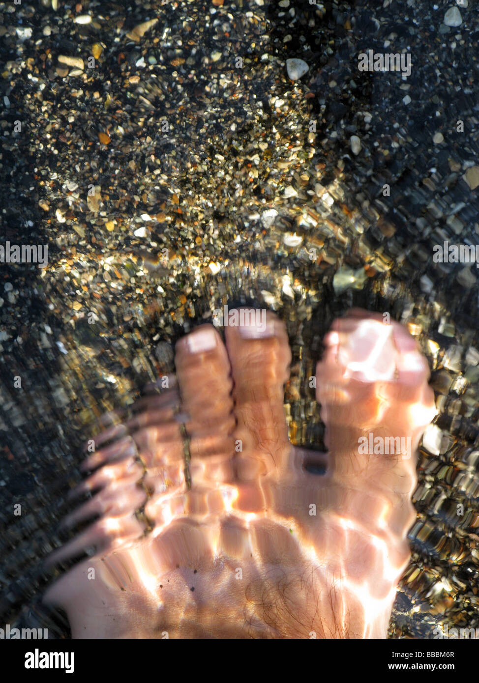 person foot standing in water on lake coast beach Stock Photo - Alamy