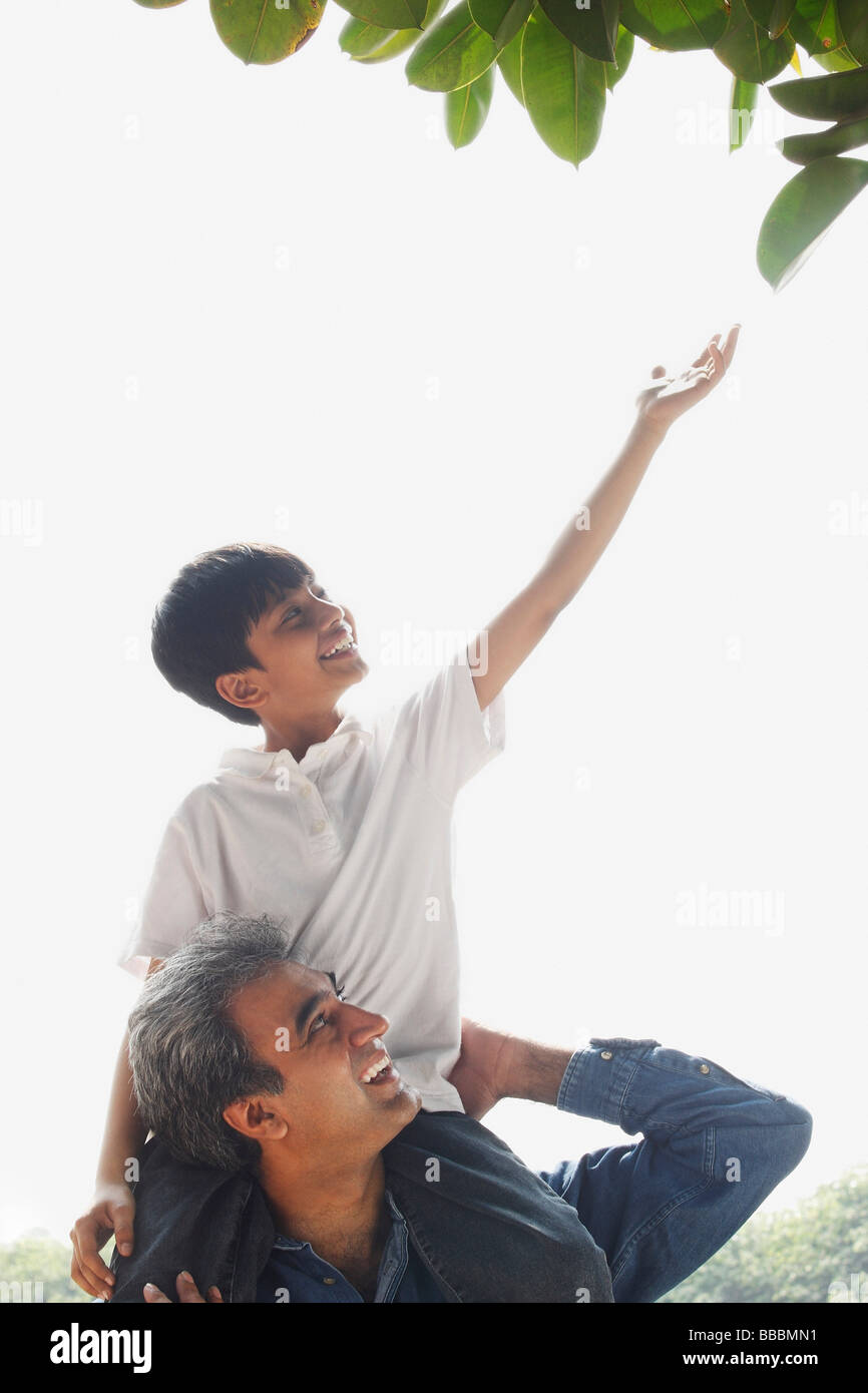 Father with son on shoulders, son reaching up for leaf Stock Photo - Alamy