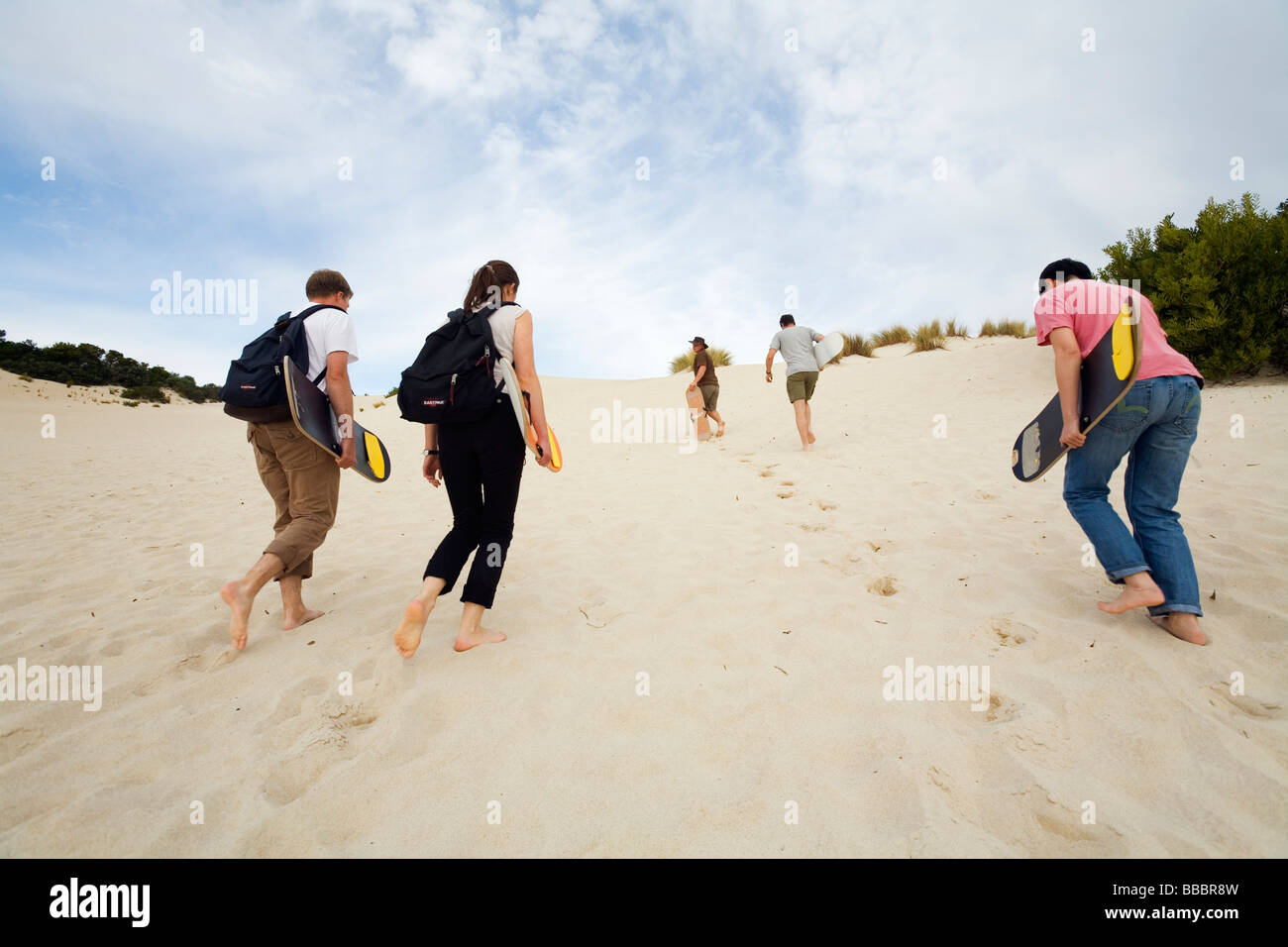 Sandboarders in the sand dunes of Little Sahara. Kangaroo Island, South ...