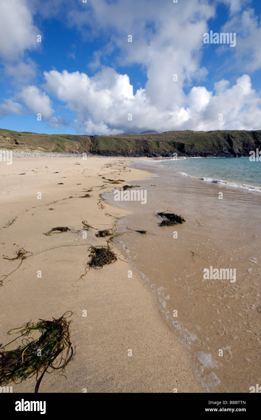 Strandline beach hi-res stock photography and images - Alamy