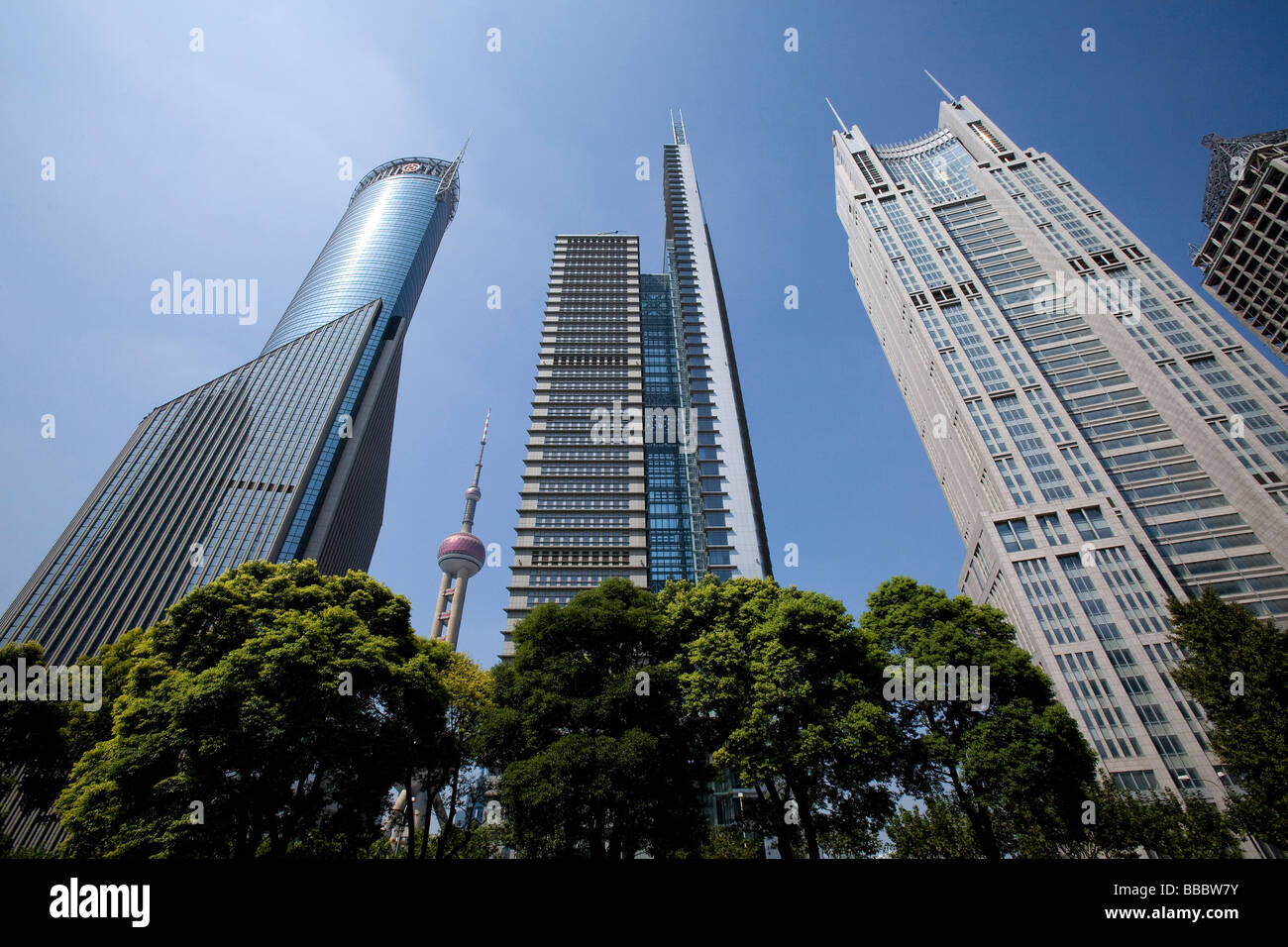 Commercial buildings at Lujiazui from Lujiazui Park, Pudong, Shanghai ...