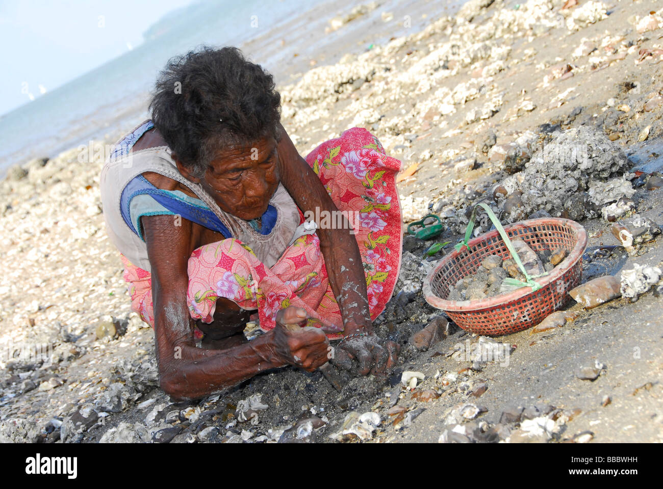 moken old lady cracking stone to find clam on beach in front of village ...