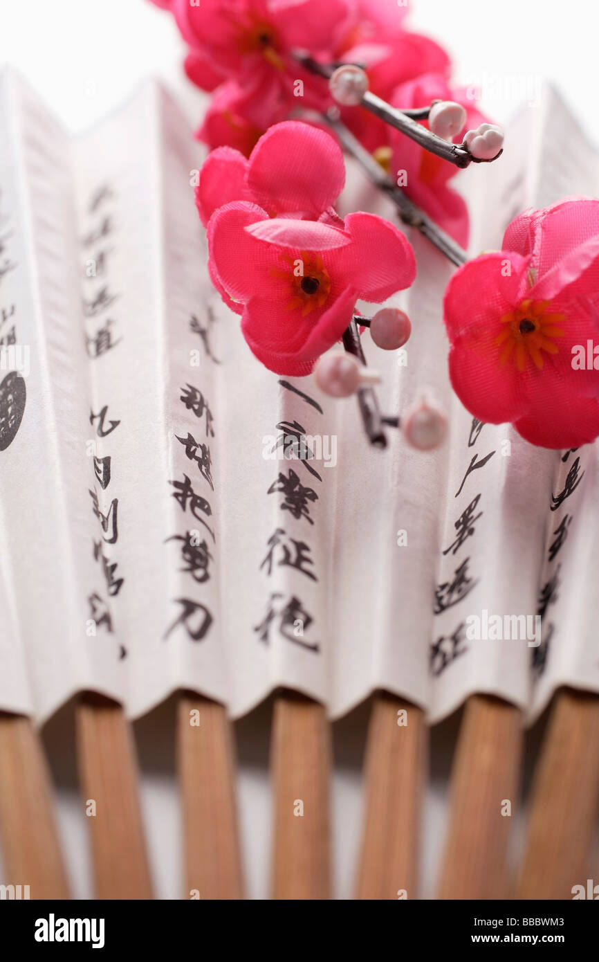 Chinese paper fan with peach blossoms Stock Photo - Alamy