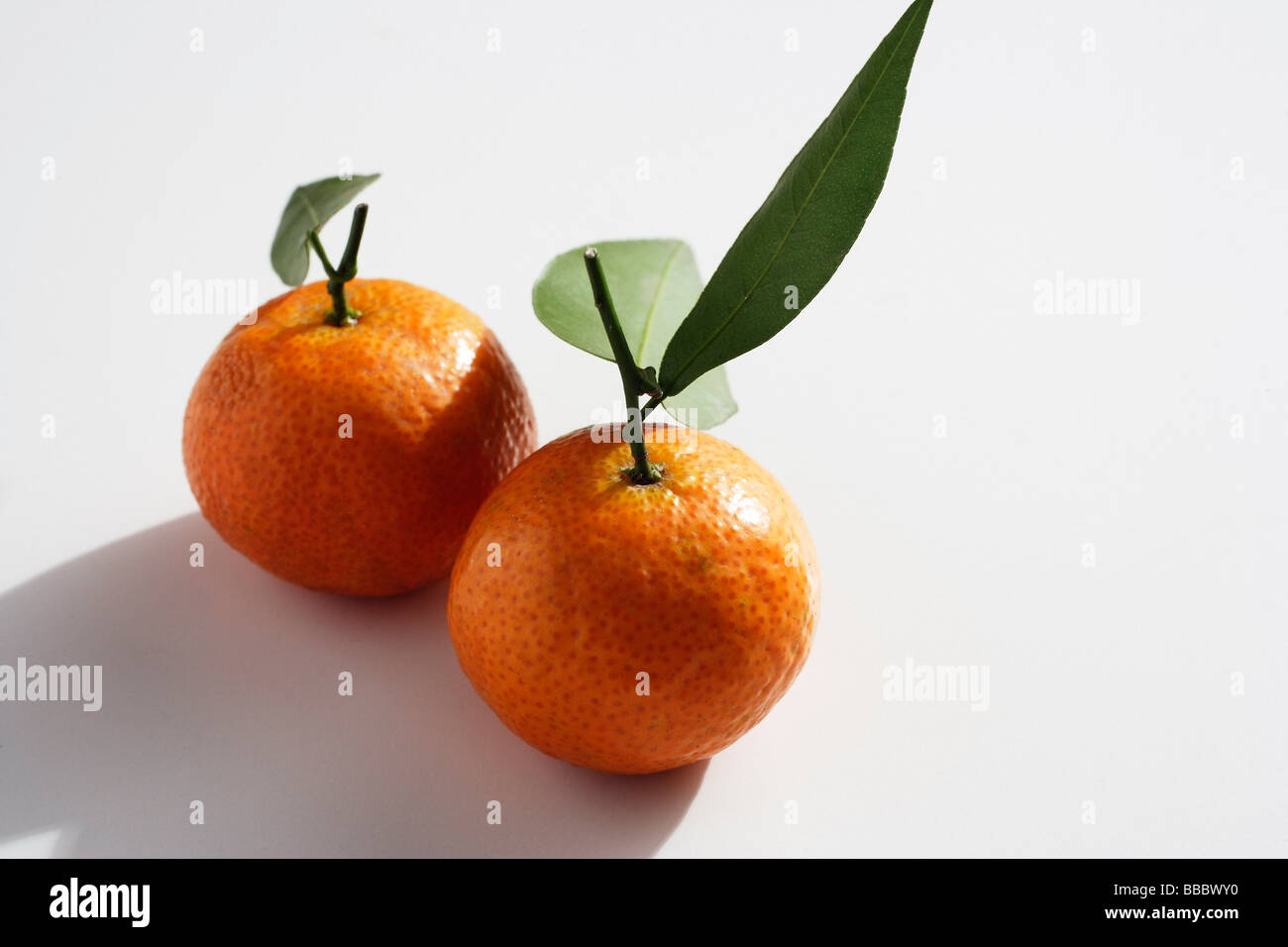 Mandarin oranges hi-res stock photography and images - Alamy