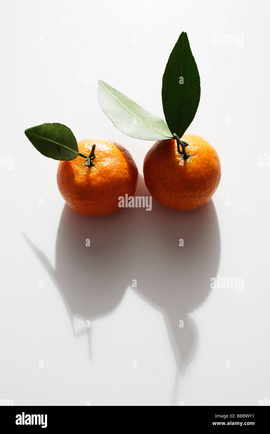 Pair of mandarin oranges Stock Photo - Alamy