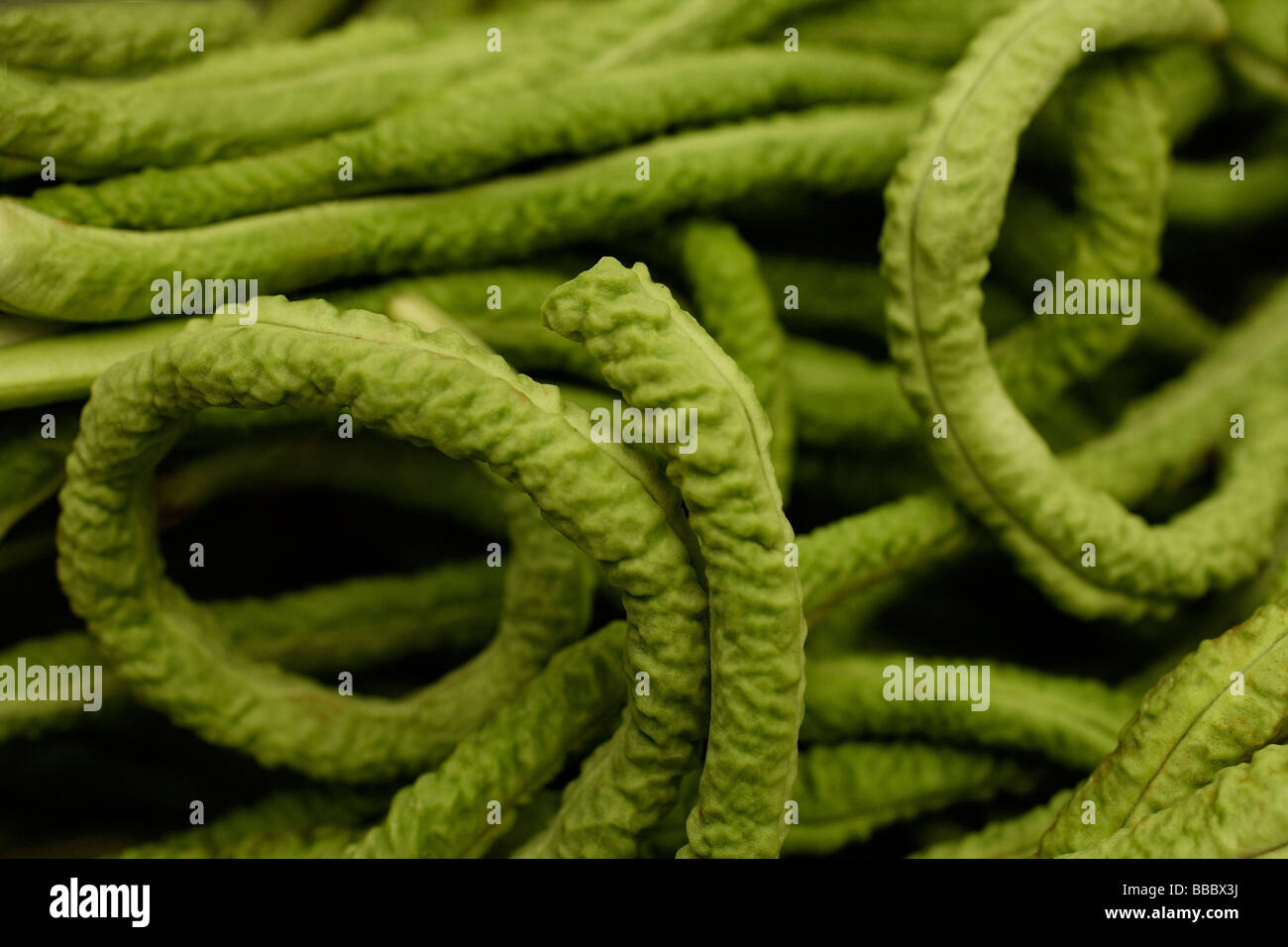 Long beans at market Stock Photo - Alamy