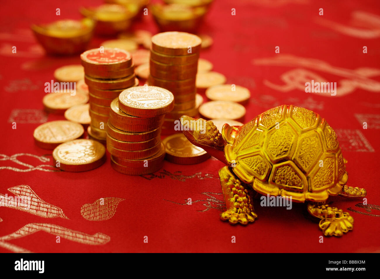 Golden coin tortoise hi-res stock photography and images - Alamy