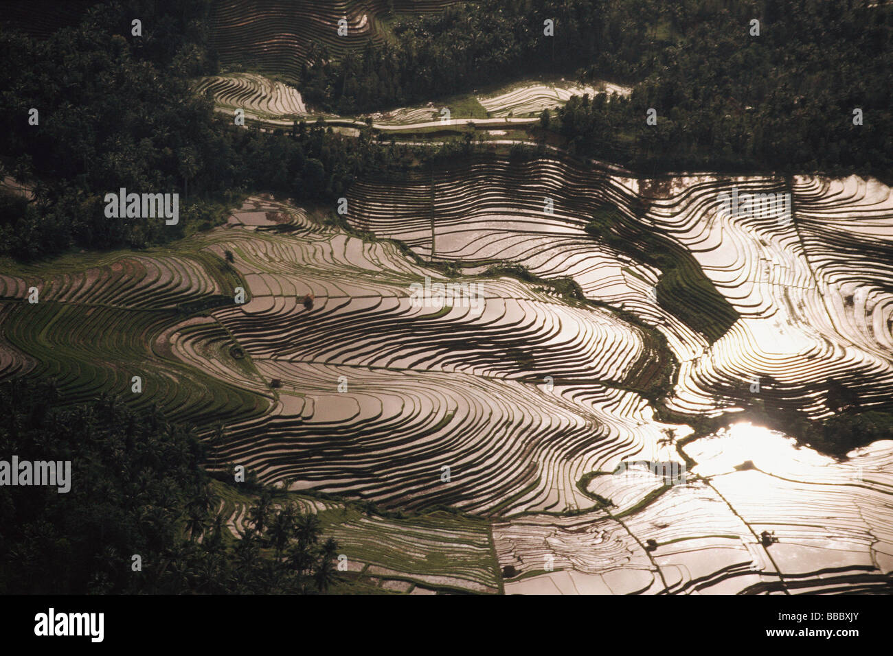 Tetebatu rice fields hi-res stock photography and images - Alamy