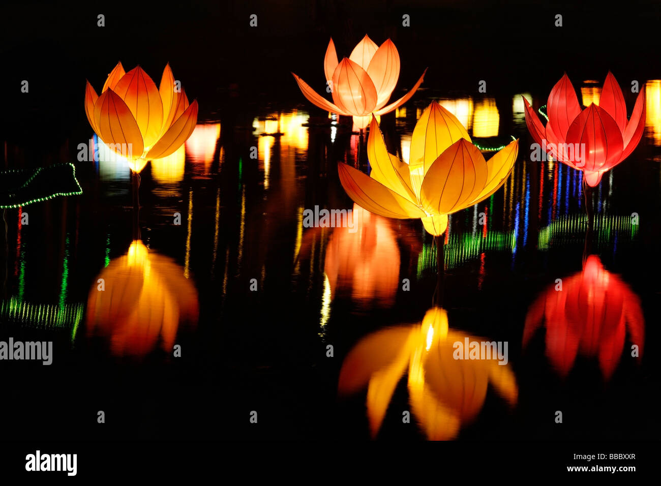 Lotus-shaped lanterns for mid-autumn festival Stock Photo - Alamy