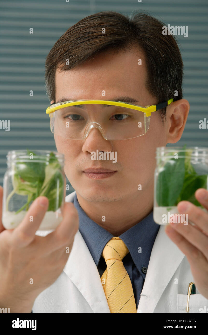 Plant samples hi-res stock photography and images - Alamy