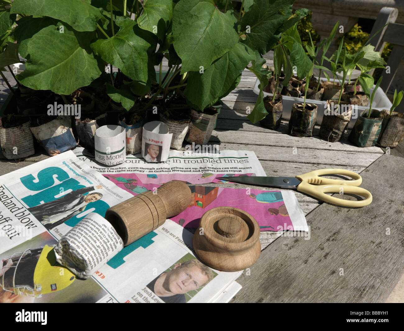Seedlings newspaper pots hi-res stock photography and images - Alamy