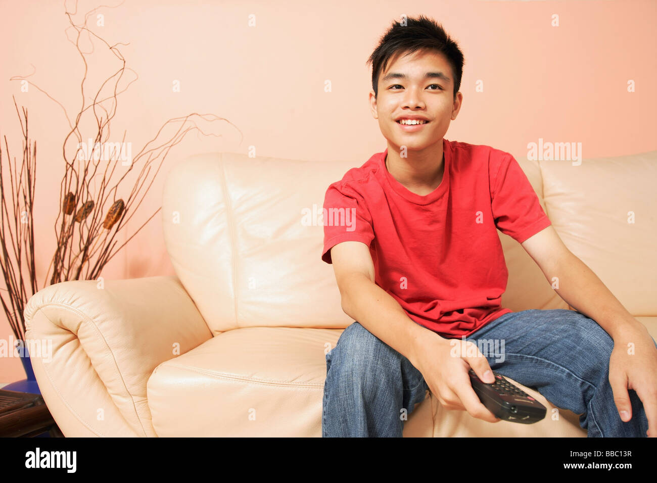 Teenage boy sitting on sofa, holding remote control Stock Photo - Alamy