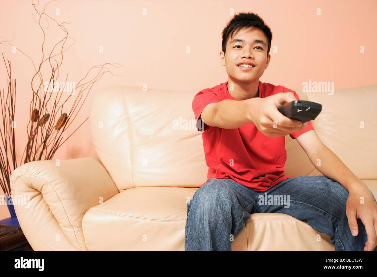 Teenage boy sitting on sofa, holding remote control, pointing at camera ...
