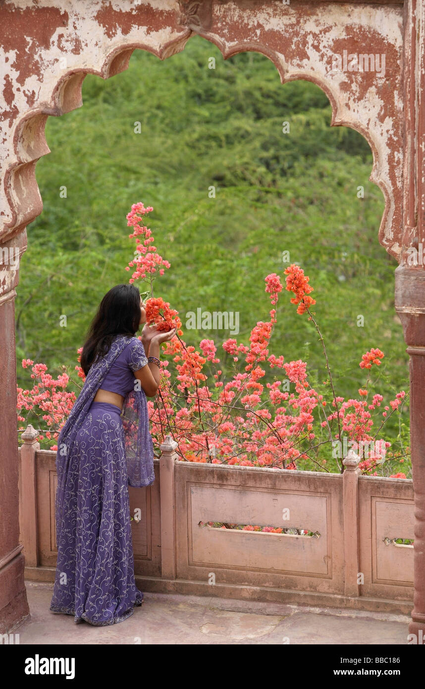 Young indian woman sari rear view hi-res stock photography and images ...