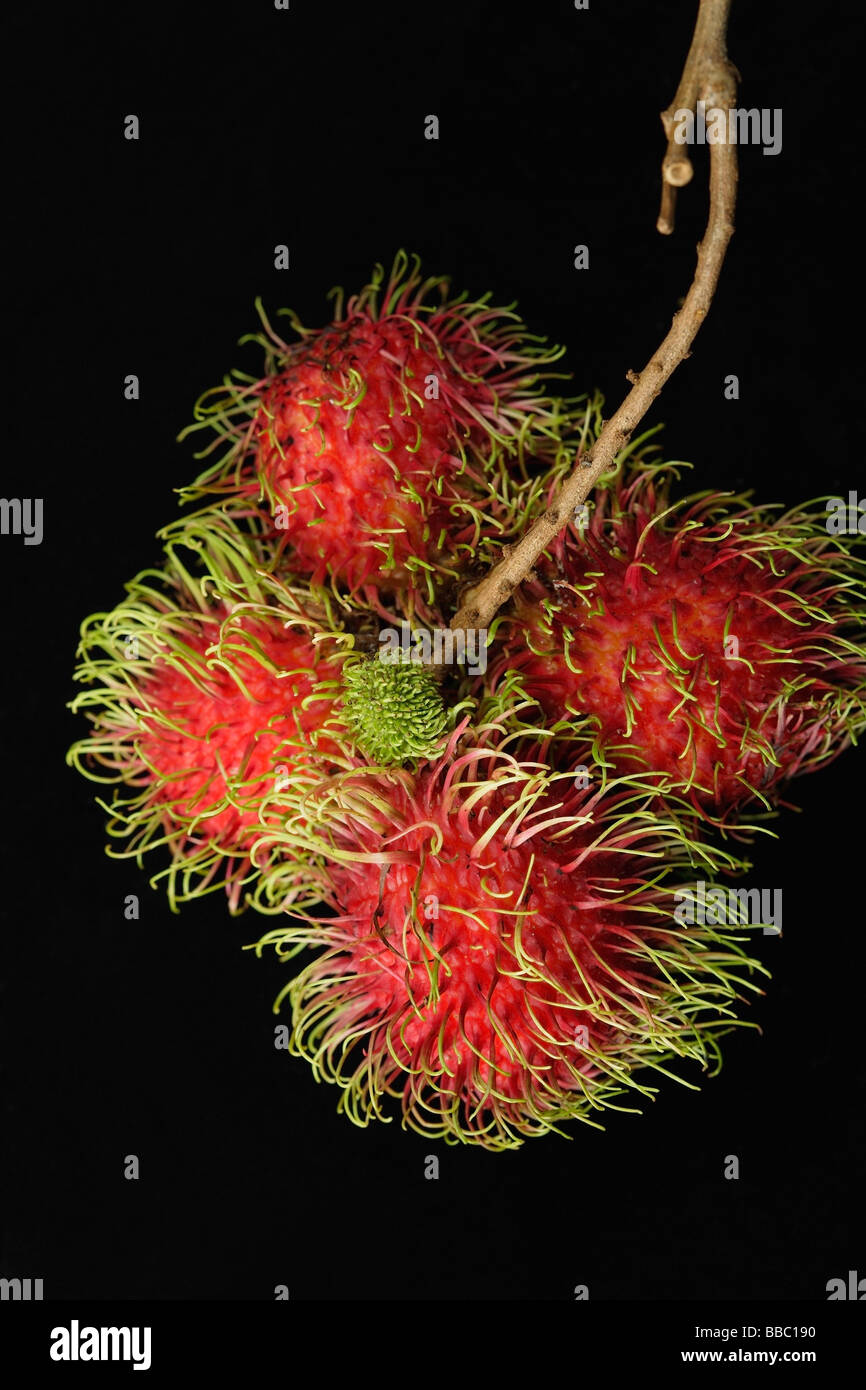 Rambutan drink hi-res stock photography and images - Alamy