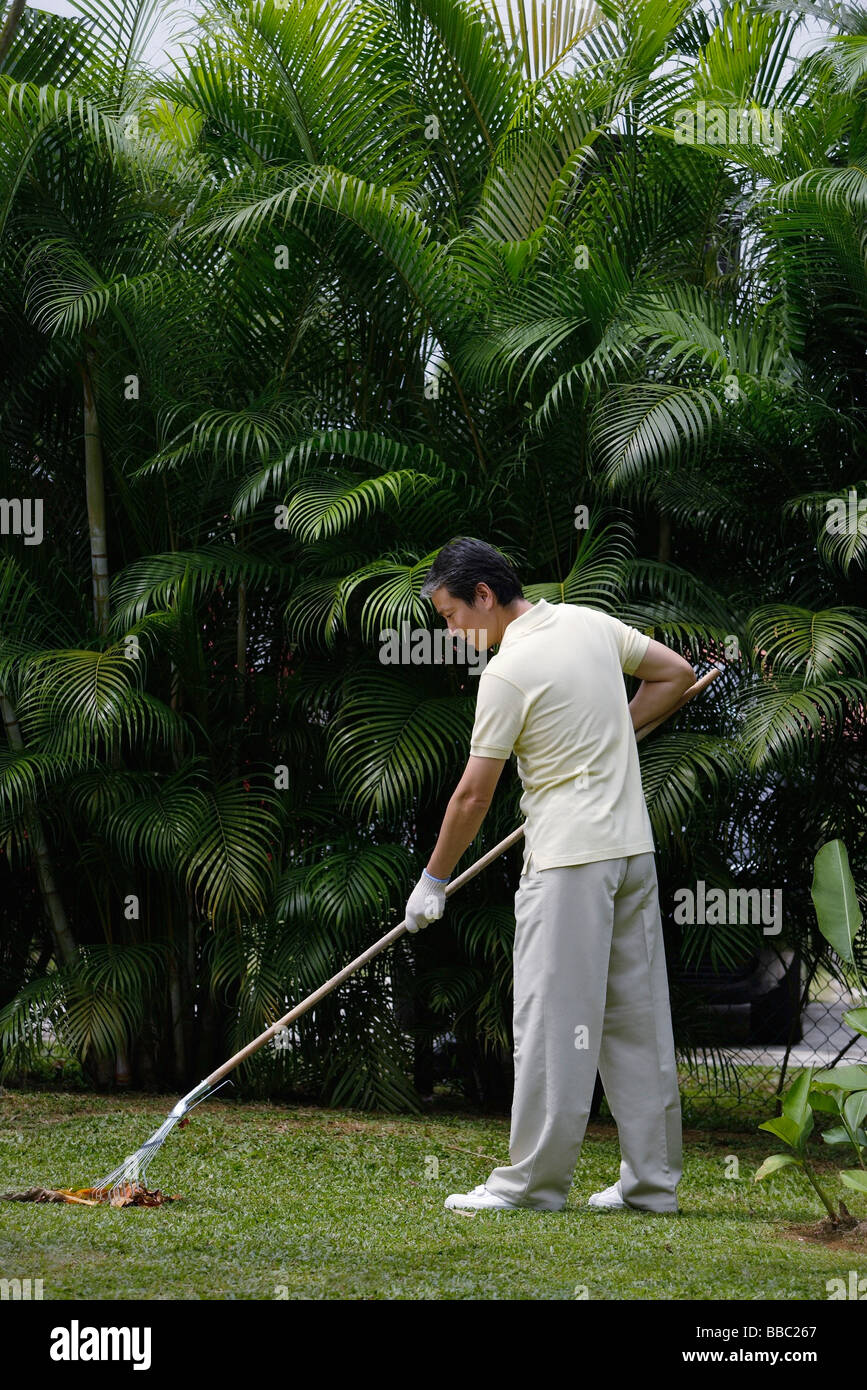 Man in garden, raking leaves Stock Photo - Alamy