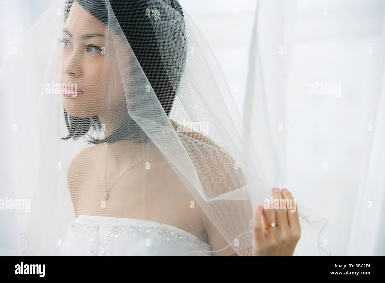 A bride with a veil Stock Photo - Alamy