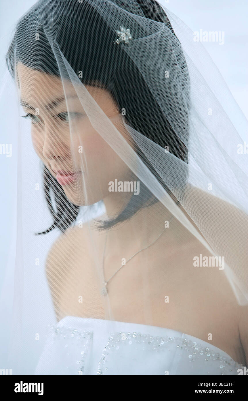 A bride with a veil Stock Photo - Alamy