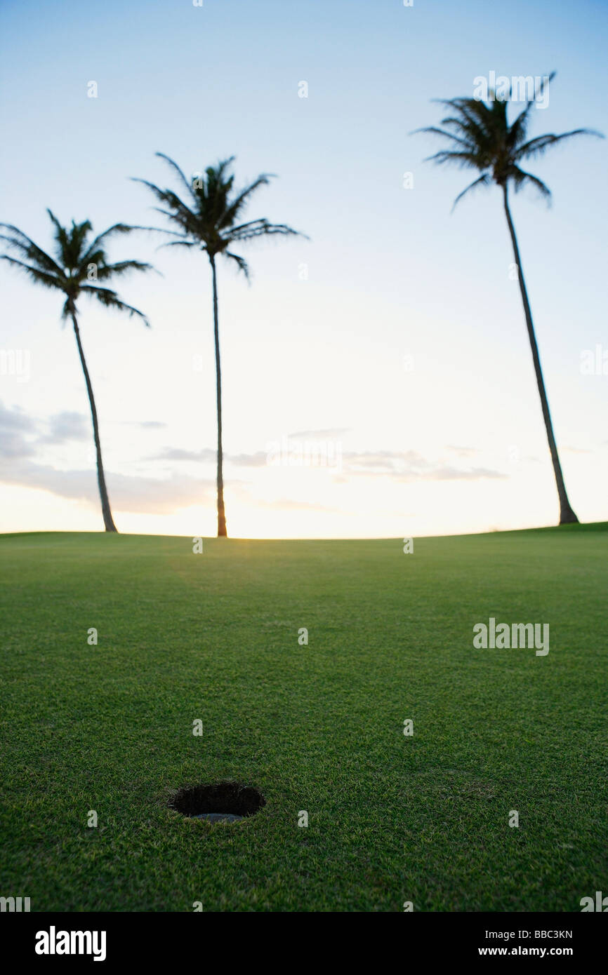 golf course during sunset Stock Photo - Alamy