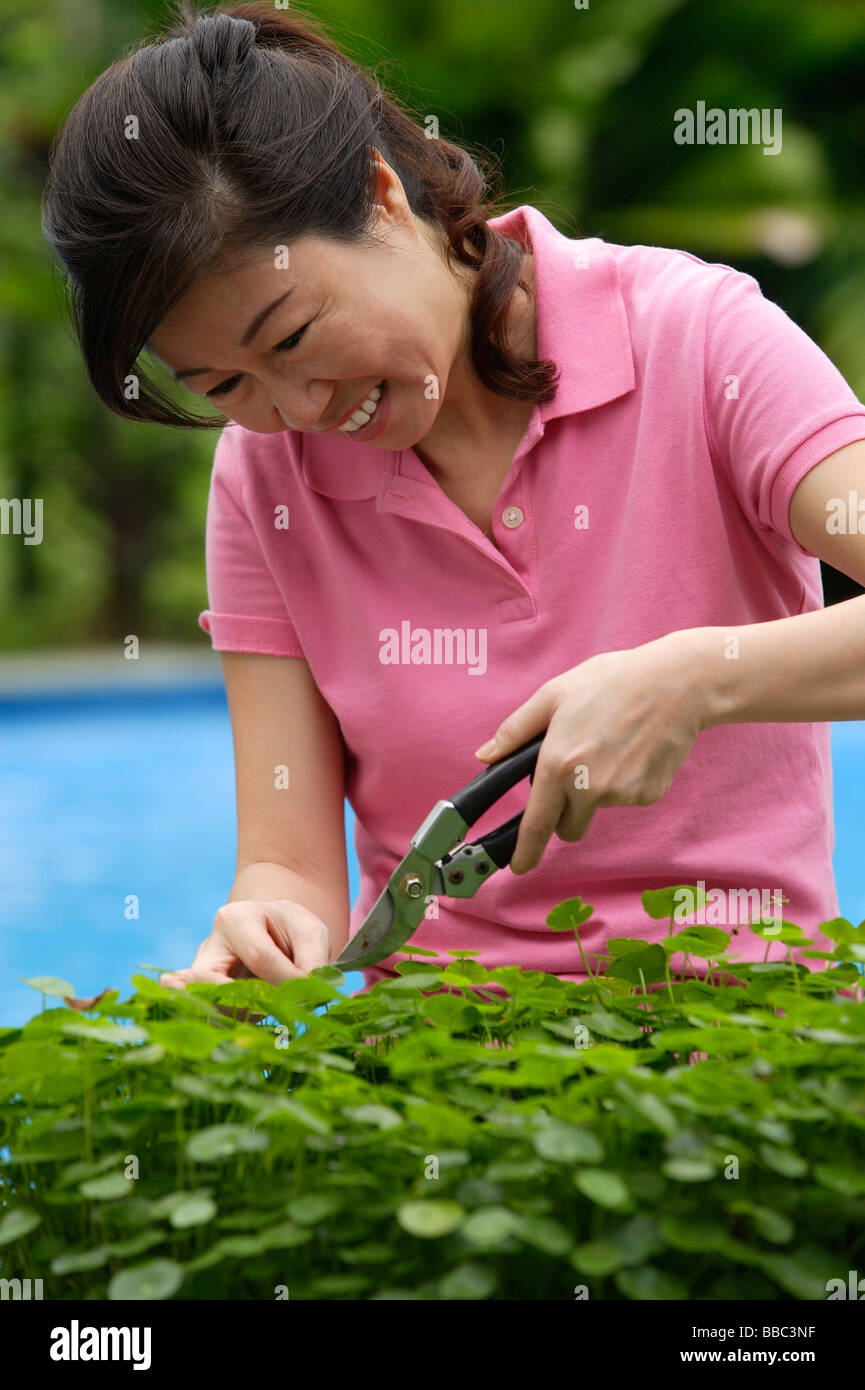Woman pruning bushes in garden Stock Photo - Alamy