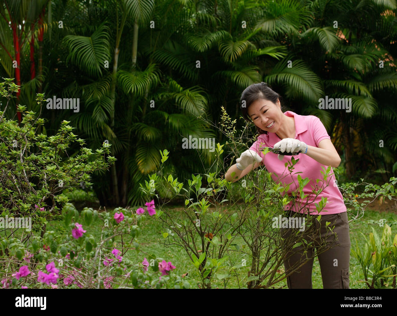 Woman tending to her garden Stock Photo - Alamy
