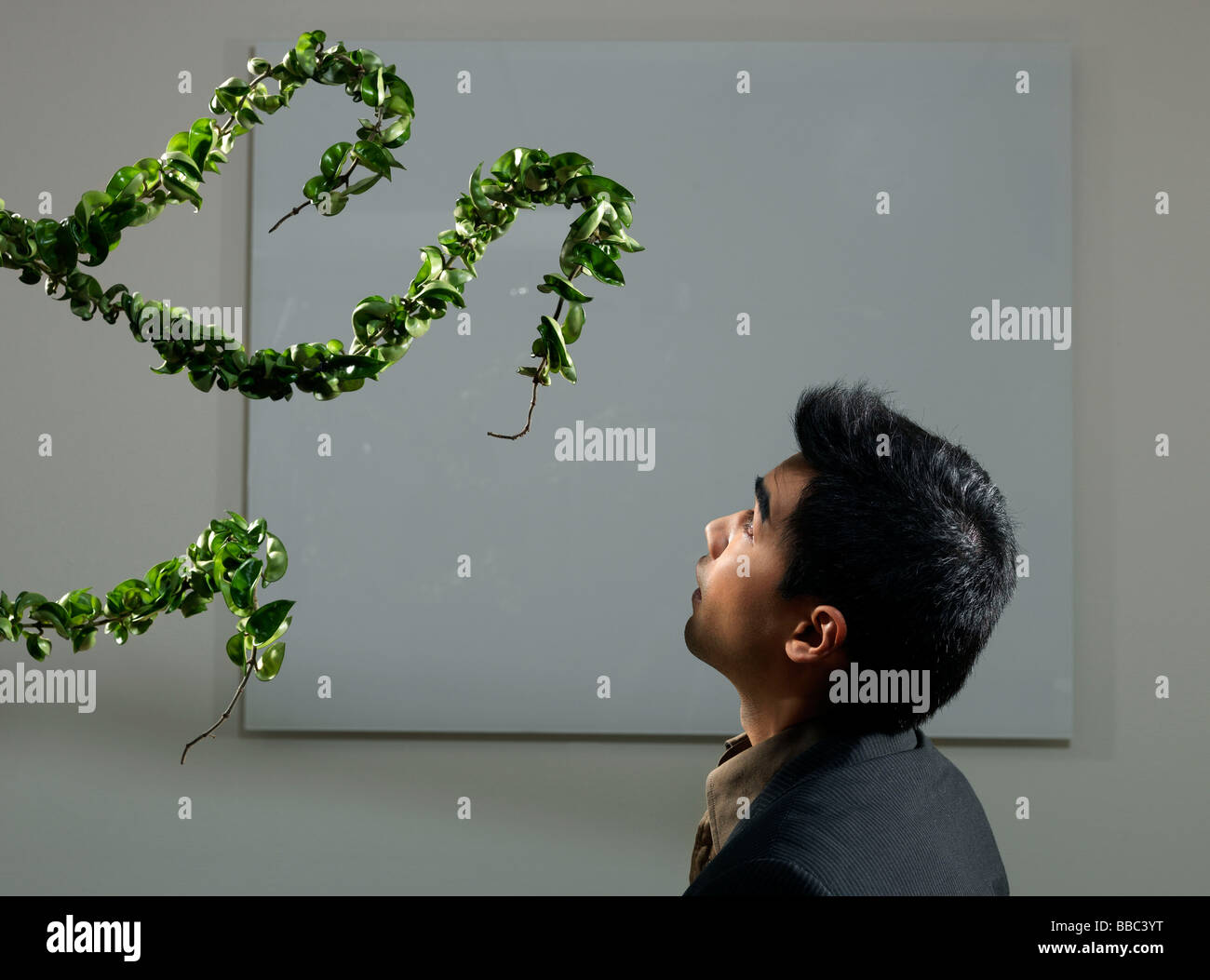 Man watching attacking plant Stock Photo - Alamy