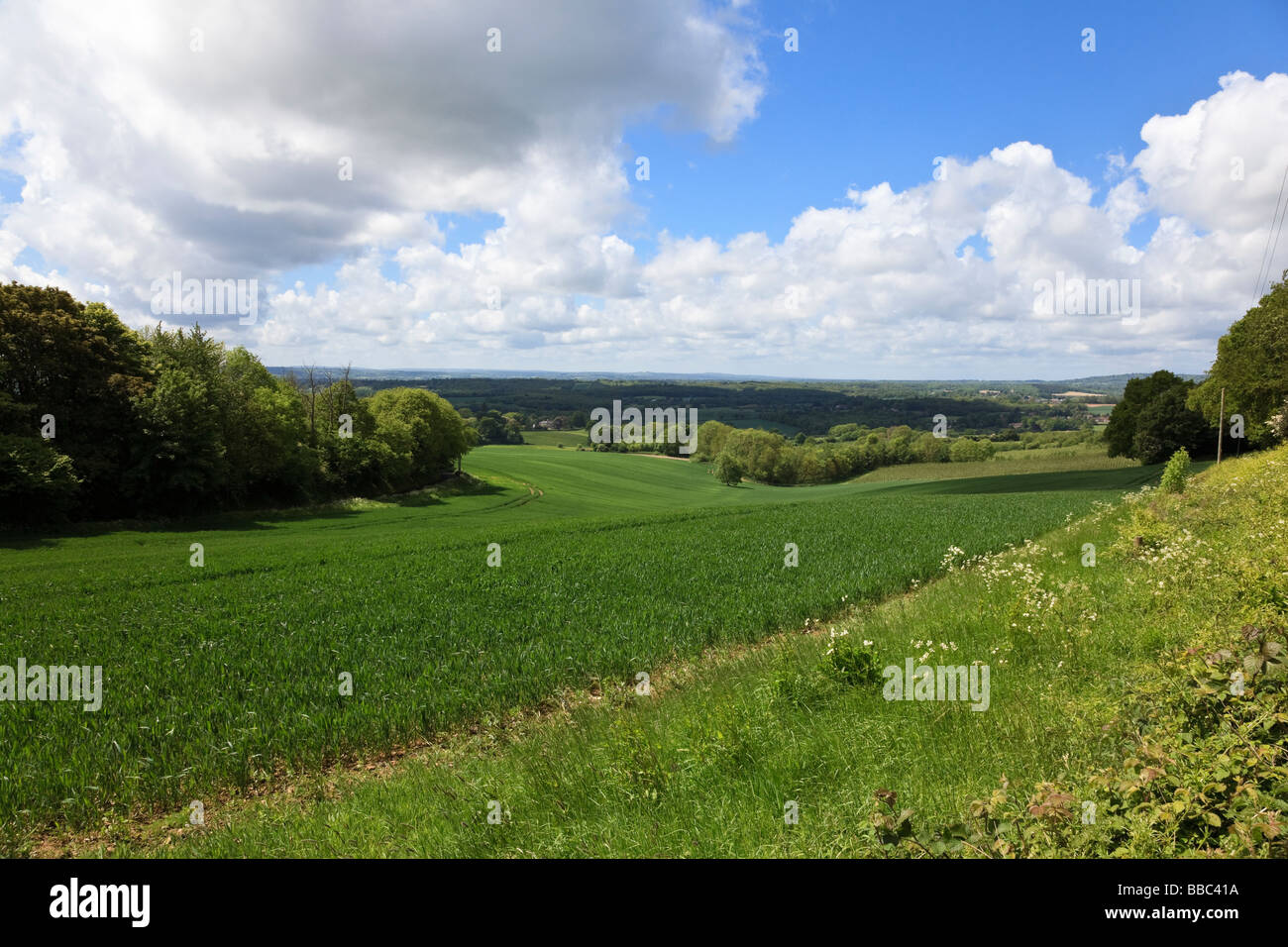 Views across the Rolling Kent countryside from near West Peckham ...