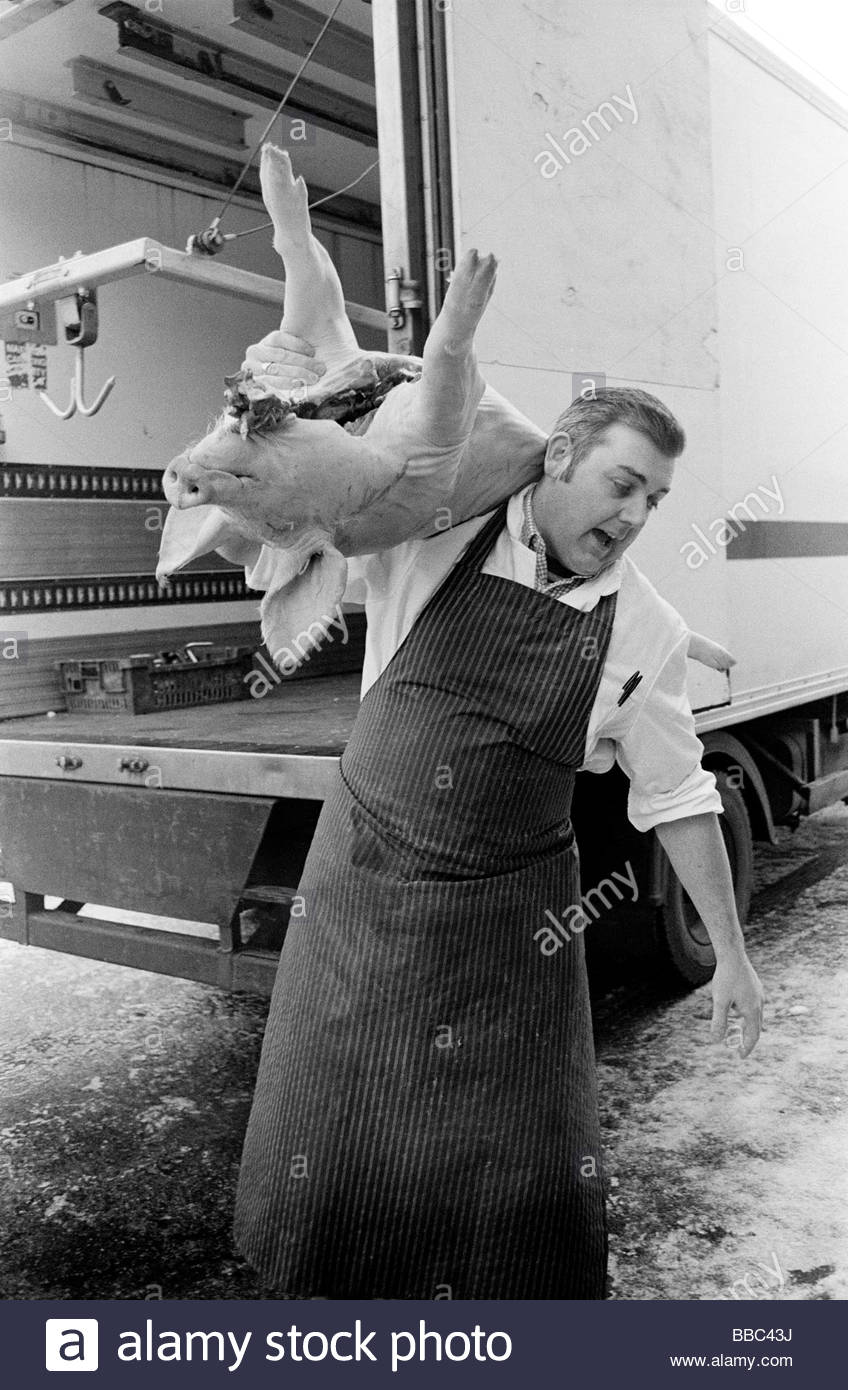 Lifting Pig High Resolution Stock Photography and Images - Alamy