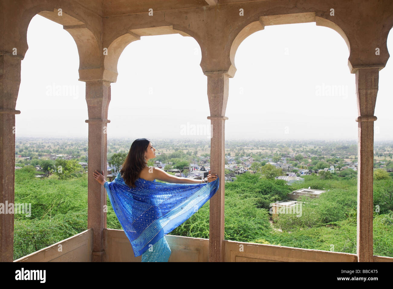 Young indian woman sari rear view hi-res stock photography and images ...