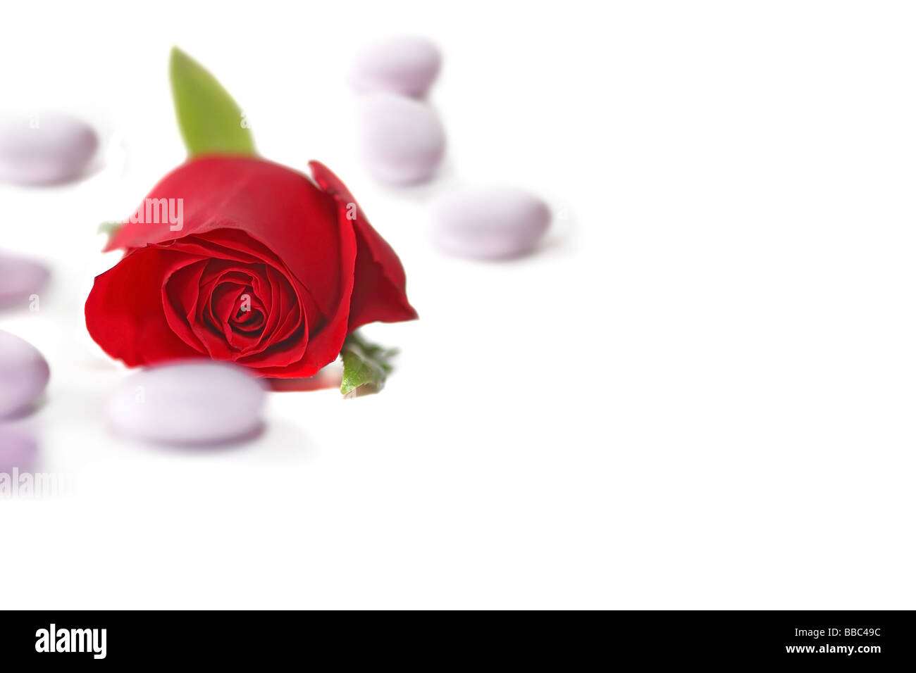 Red Rose with candy on white Stock Photo - Alamy